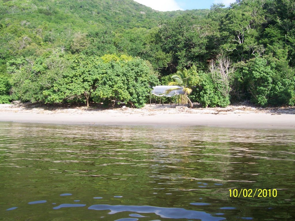 MACURO: UN CASO LATINOAMERICANO DE ÉXITO EN LA CONSERVACIÓN DE TORTUGAS ...